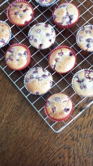 Wild Strawberry Muffins | Tajinny.com